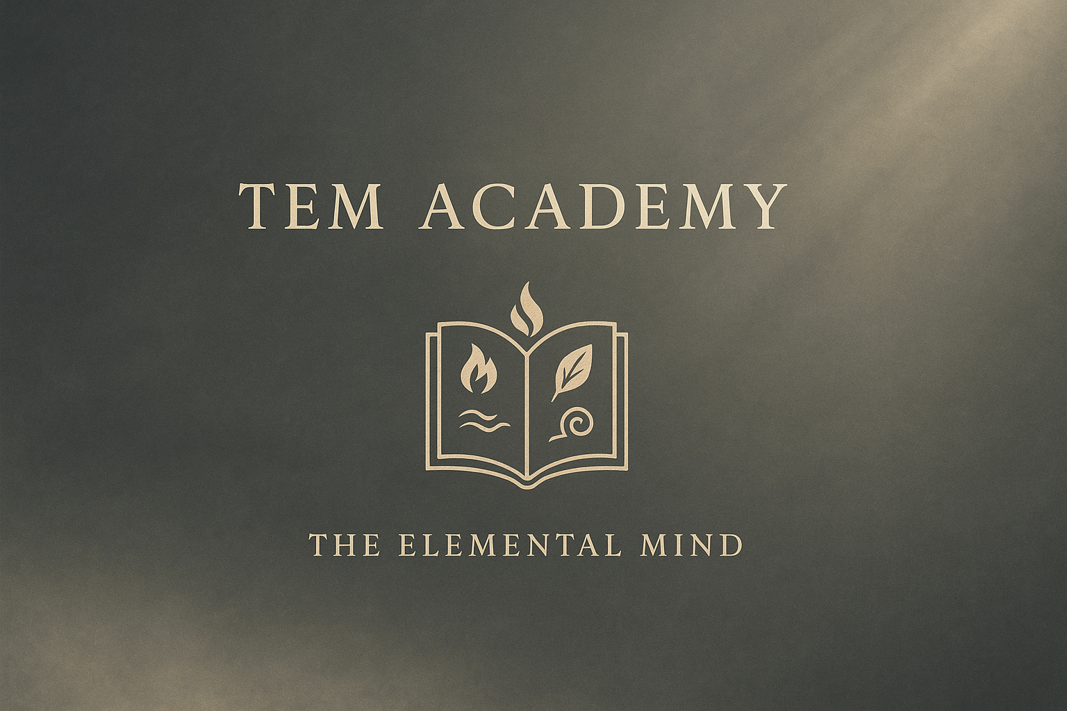 Introducing TEM Academy + The Two-Part Swords Course - The Elemental Mind